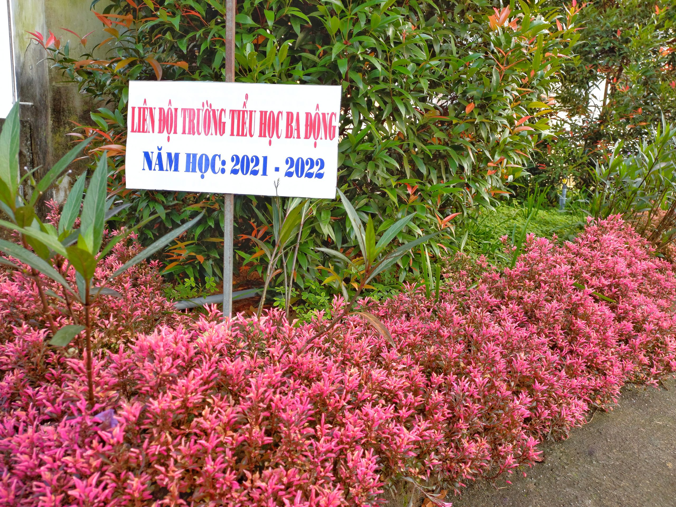 Trường Em Xanh Sạch đẹp” Trường Tiểu Học Ba Động